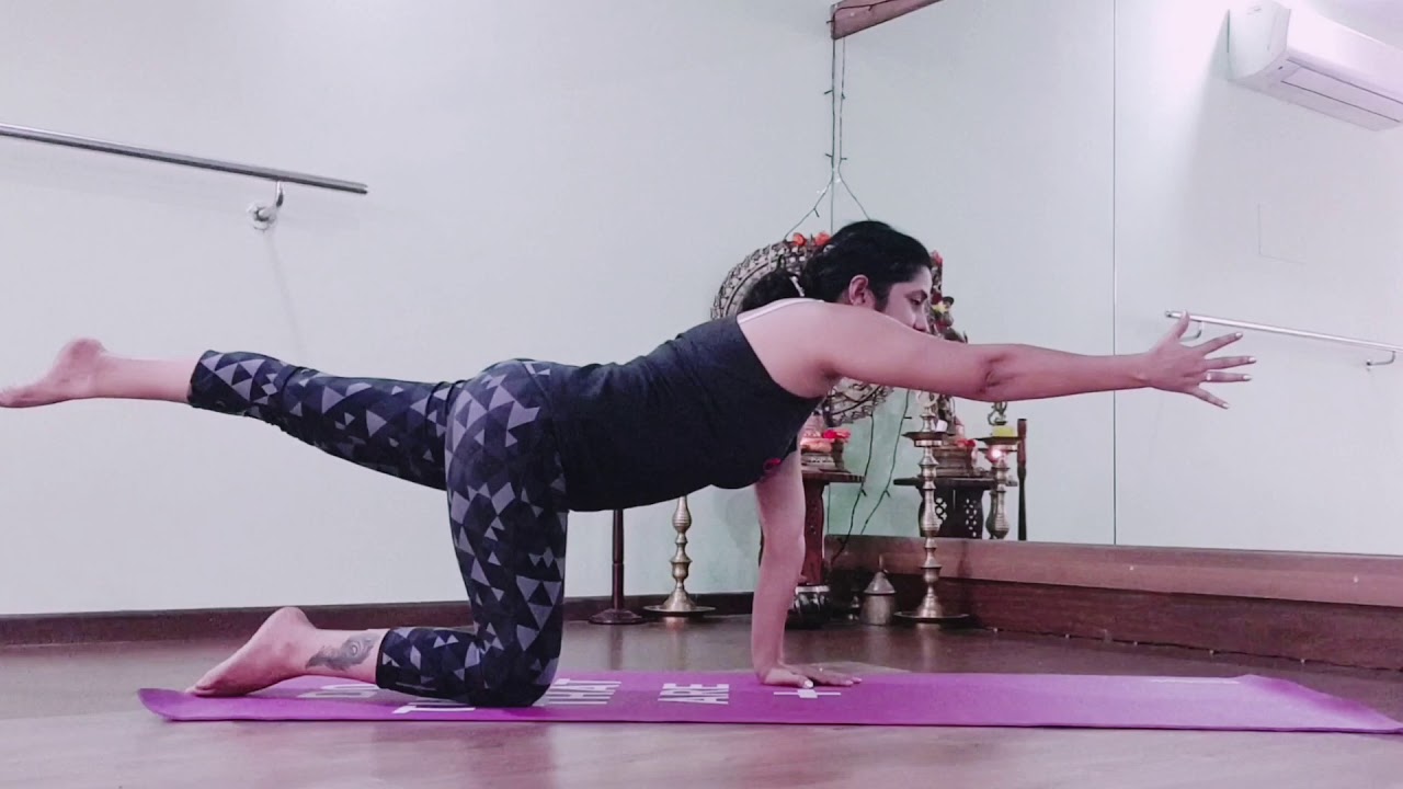 Cat pose and variation tutorial - YouTube