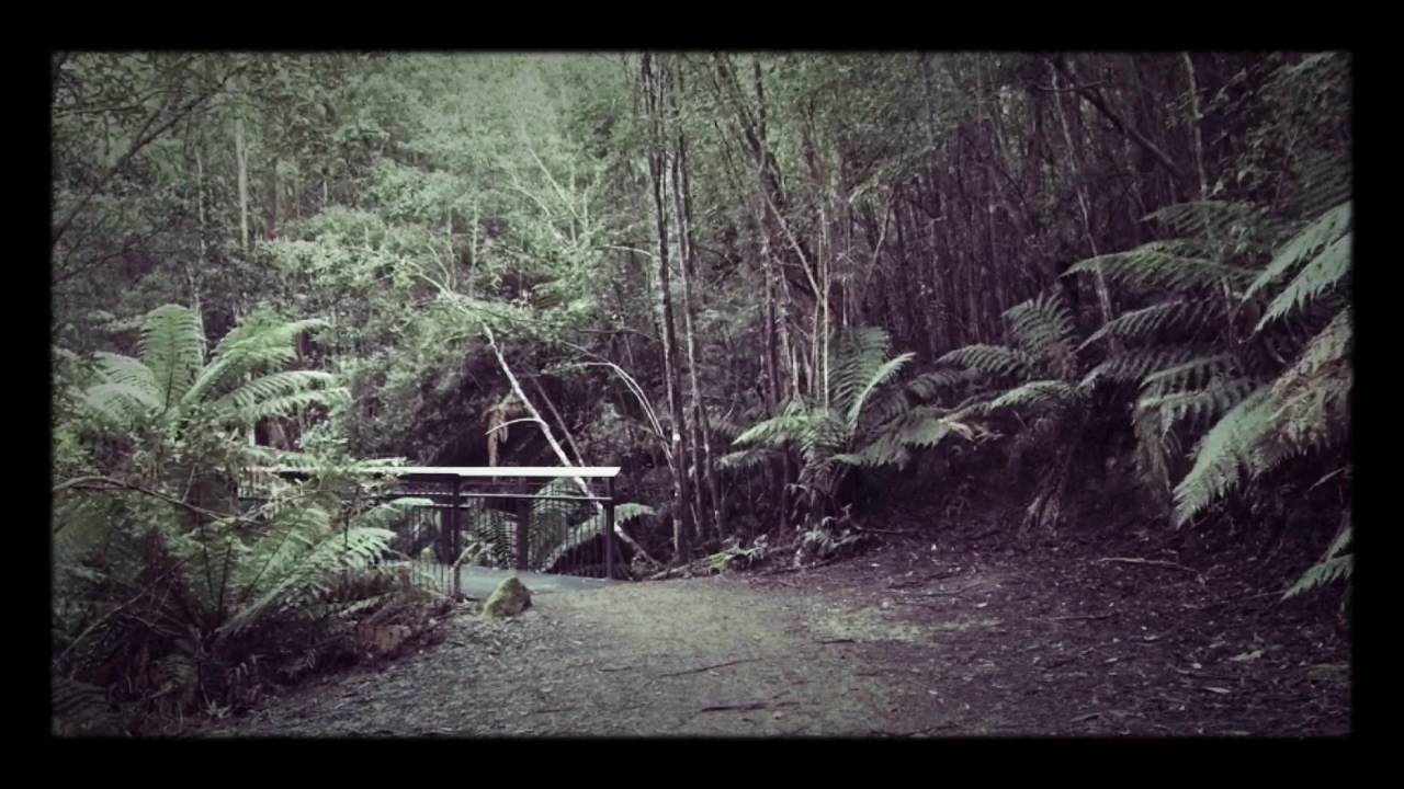 Pipeline Track walk - Hobart, Australia - YouTube