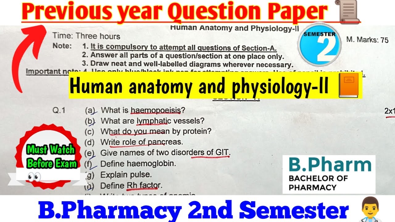 hap 2 previous year question paper/b pharma 2nd semester hap 2 ...