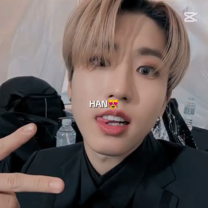 I like Han 🥰💓😉#kpop #straykids #skz #love #han #leeknow #stay - YouTube