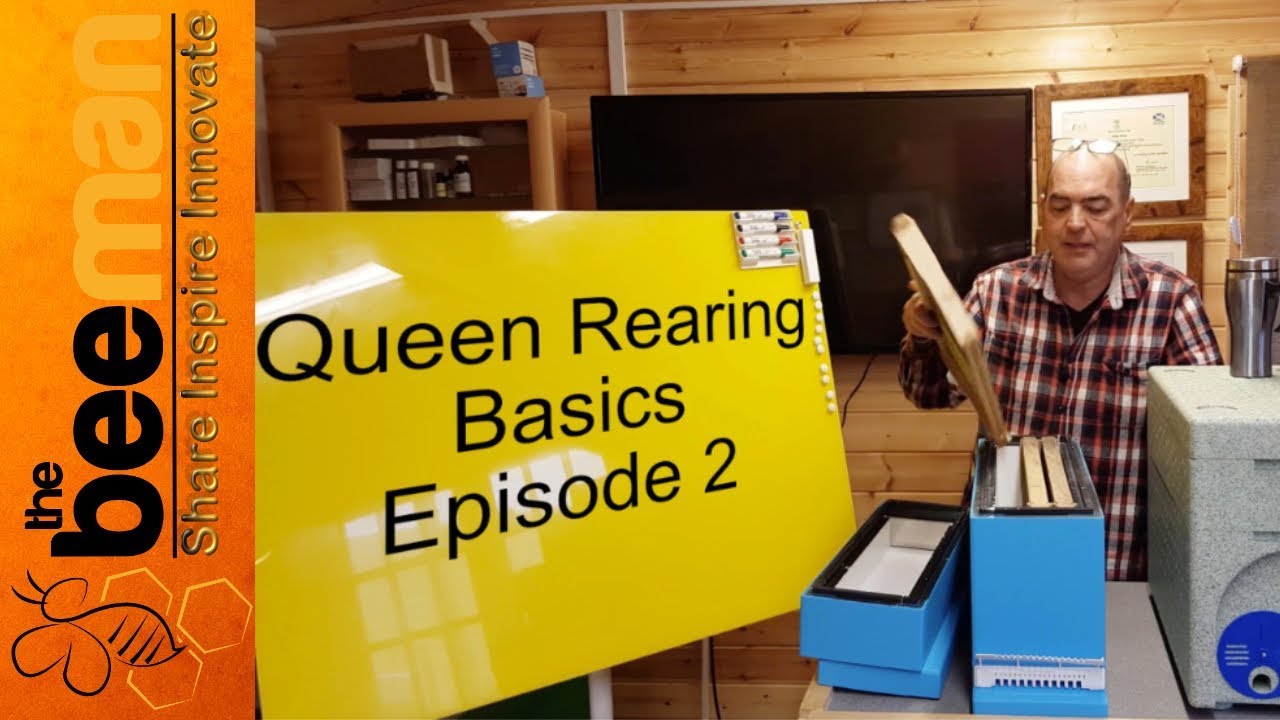 Queen Rearing From The Very Beginning Part 2 - YouTube