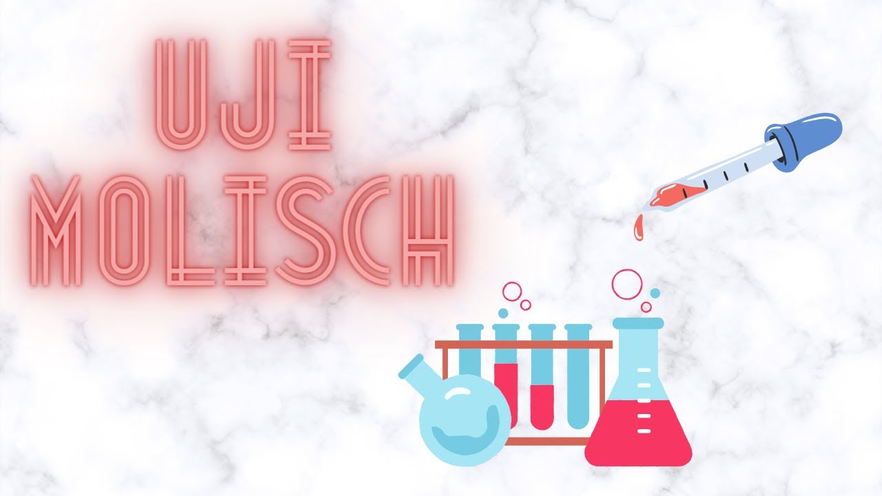 Uji Molisch - iDENTIFIKASI KARBOHIDRAT - YouTube