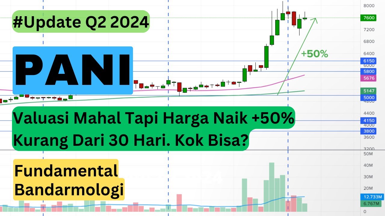 Saham PANI Naik 50% Banyak Retail Panen Cuan - YouTube