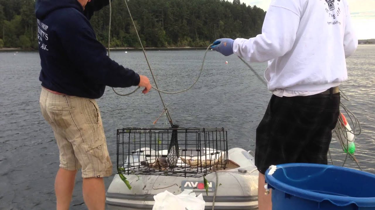 Pulling Dunginess Crab Pots - Lopez Island, WA, July 2014 - YouTube