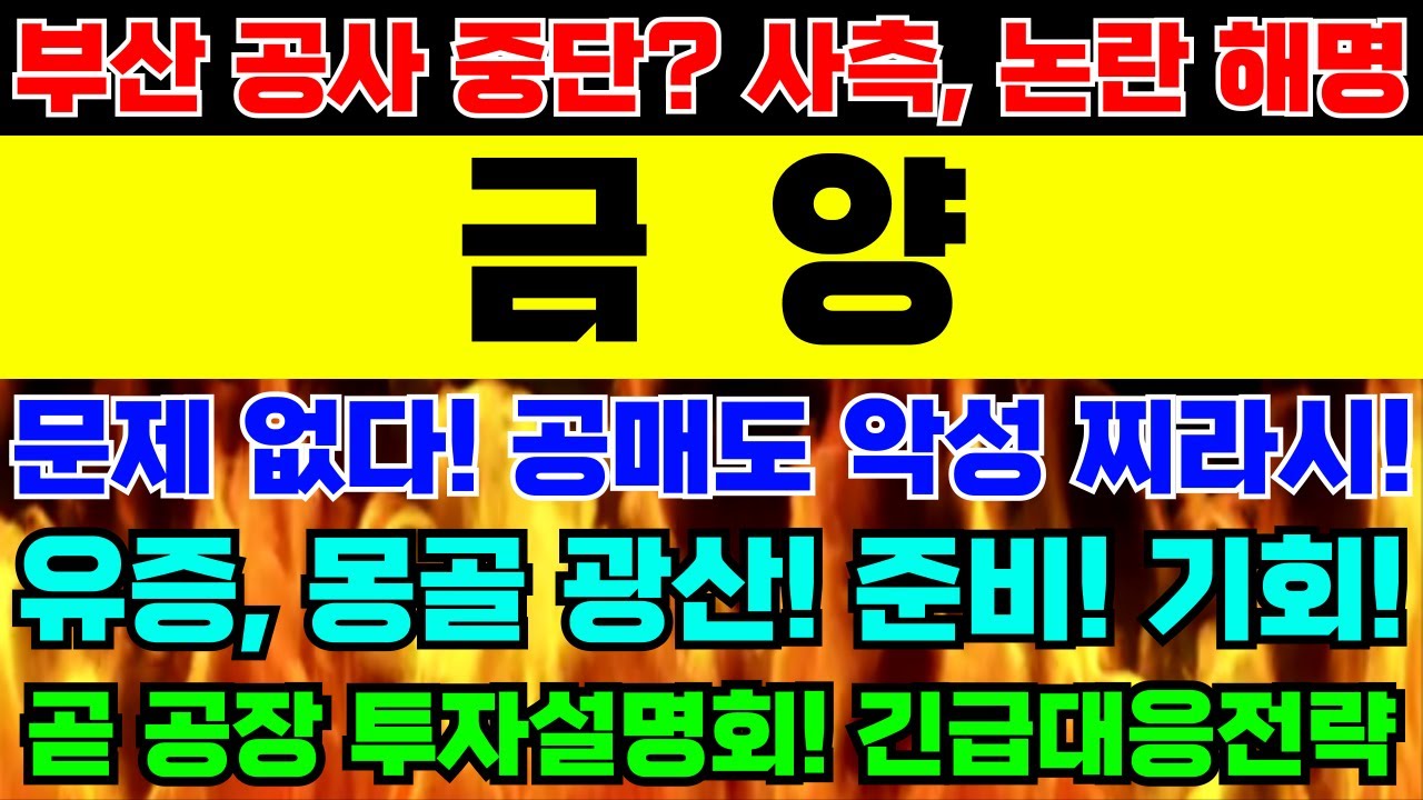 금양 주가전망 🚨긴급속보🚨부산 공사 중단 사측 논란 해명 문제 없다 공매도 악성 찌라시 유증 몽골 광산 준비 불확실성 해소 기회 옥스퍼드 메트리카 투자