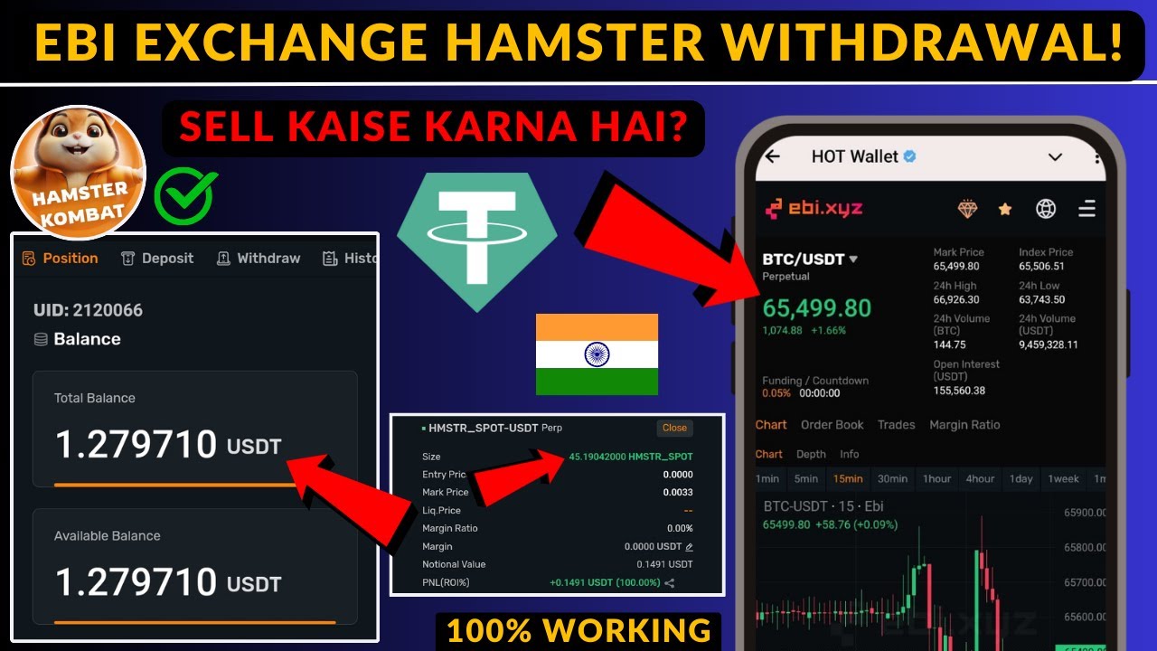 ebi exchange hamster kombat withdrawal | how to withdrawal hamster ...