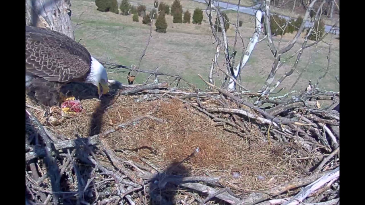 Jay Slack (USFWS), Steve Chase audio interview– Fish and Wildlife ...