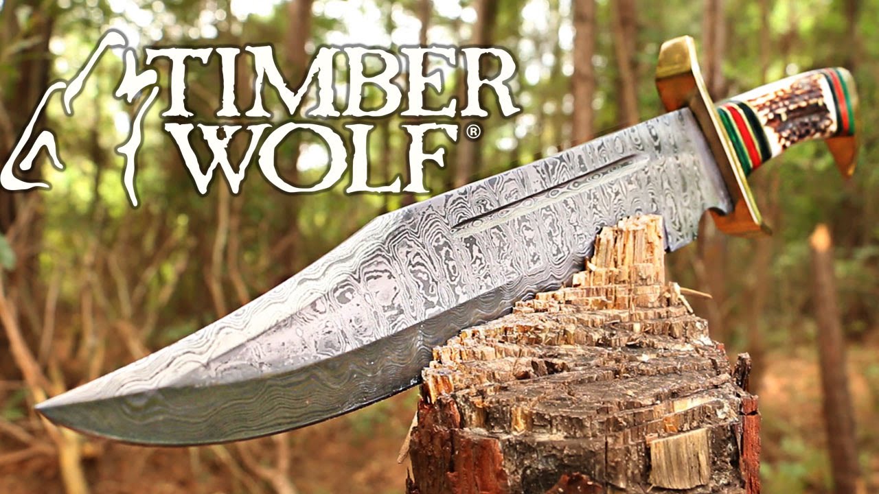 Timber Wolf Custom Stag Damascus Fixed Blade Bowie Knife - YouTube