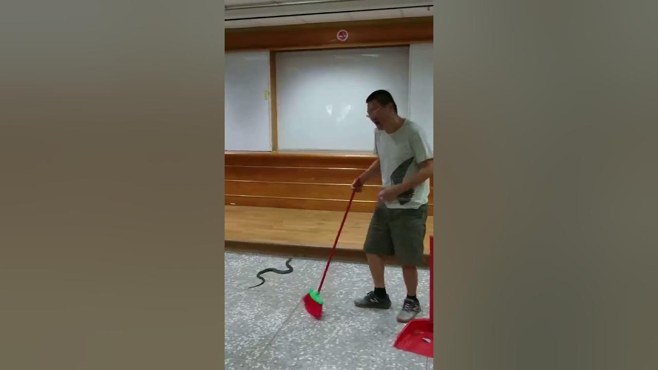 How to catch cobra - YouTube