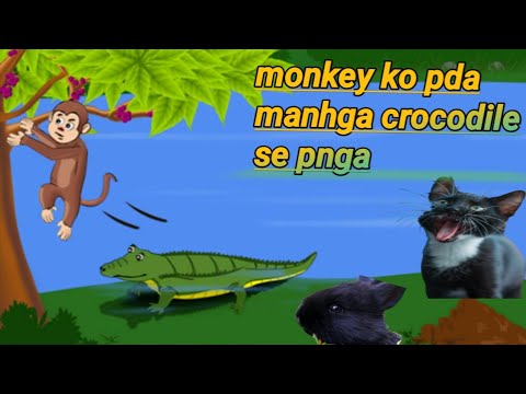 monkey ki video Bandar ki video monkey ki video komedi - YouTube