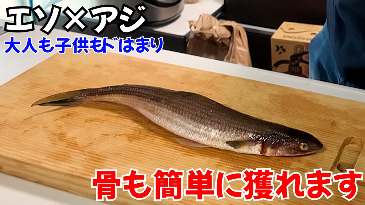 【エソの捌き方】大人も子供も絶対ドはまりする絶品エソとアジ料理 これやってない人損してます - YouTube