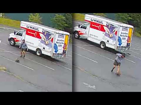 What Is This Vicious Animal In Caught On Camera Attack?