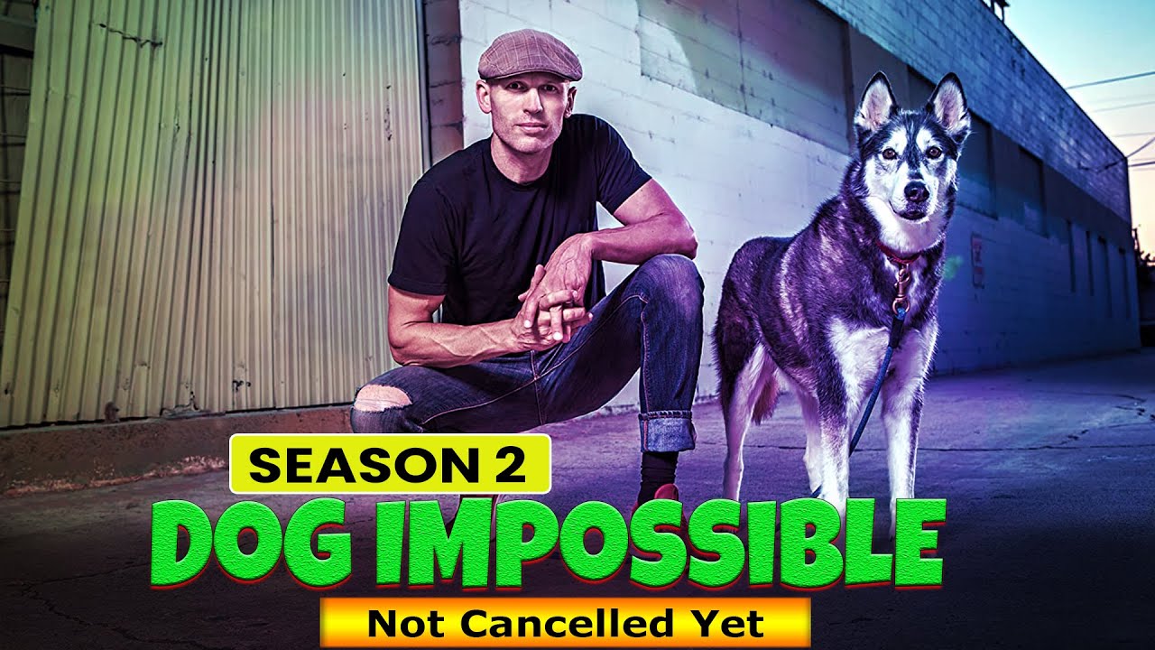 Dog Impossible Season 2 Not Cancelled Yet, Know About Release Date ...