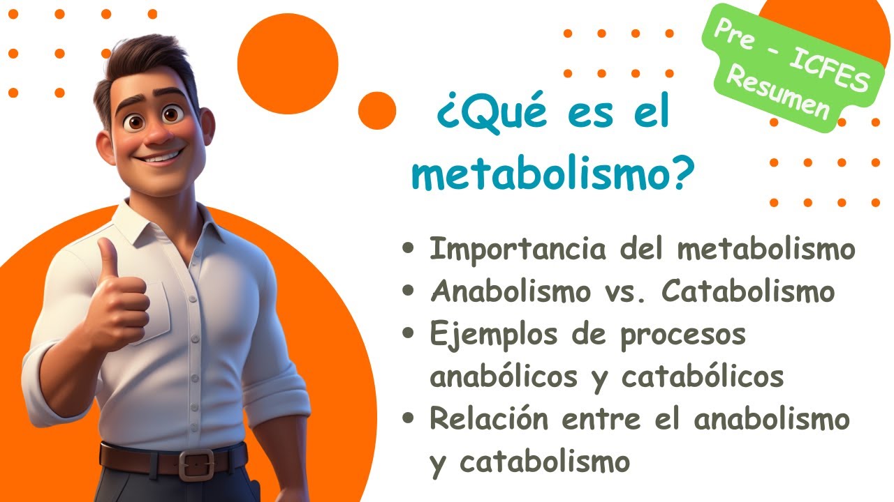 ¿Qué es el Metabolismo? 🤔 Explicación del Anabolismo vs Catabolismo en ...