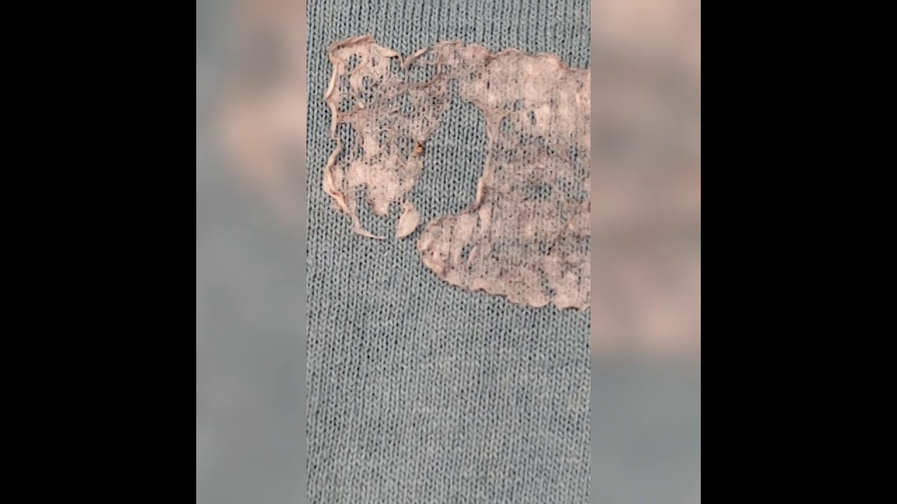 How to Get Sticky Residue off Clothing with ONE Ingredient #shorts ...