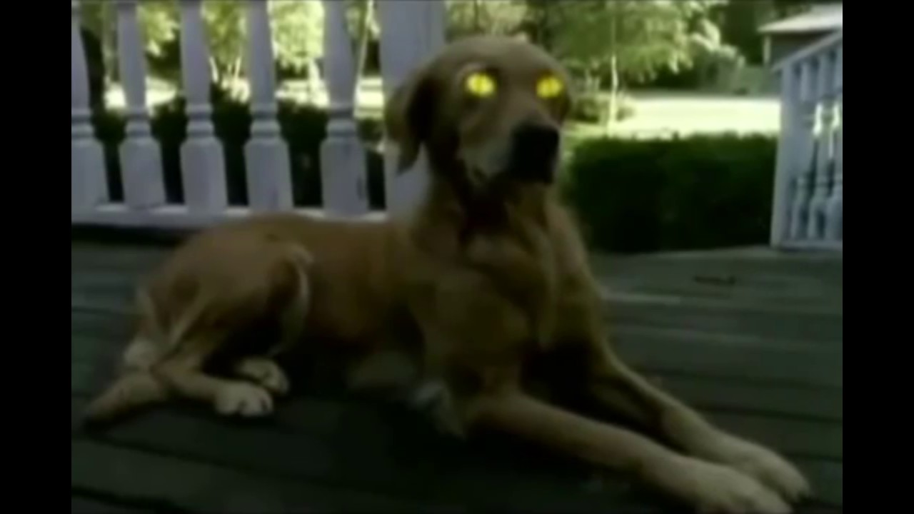 Goosebumps Intro with lyrics remastered 2007 - YouTube