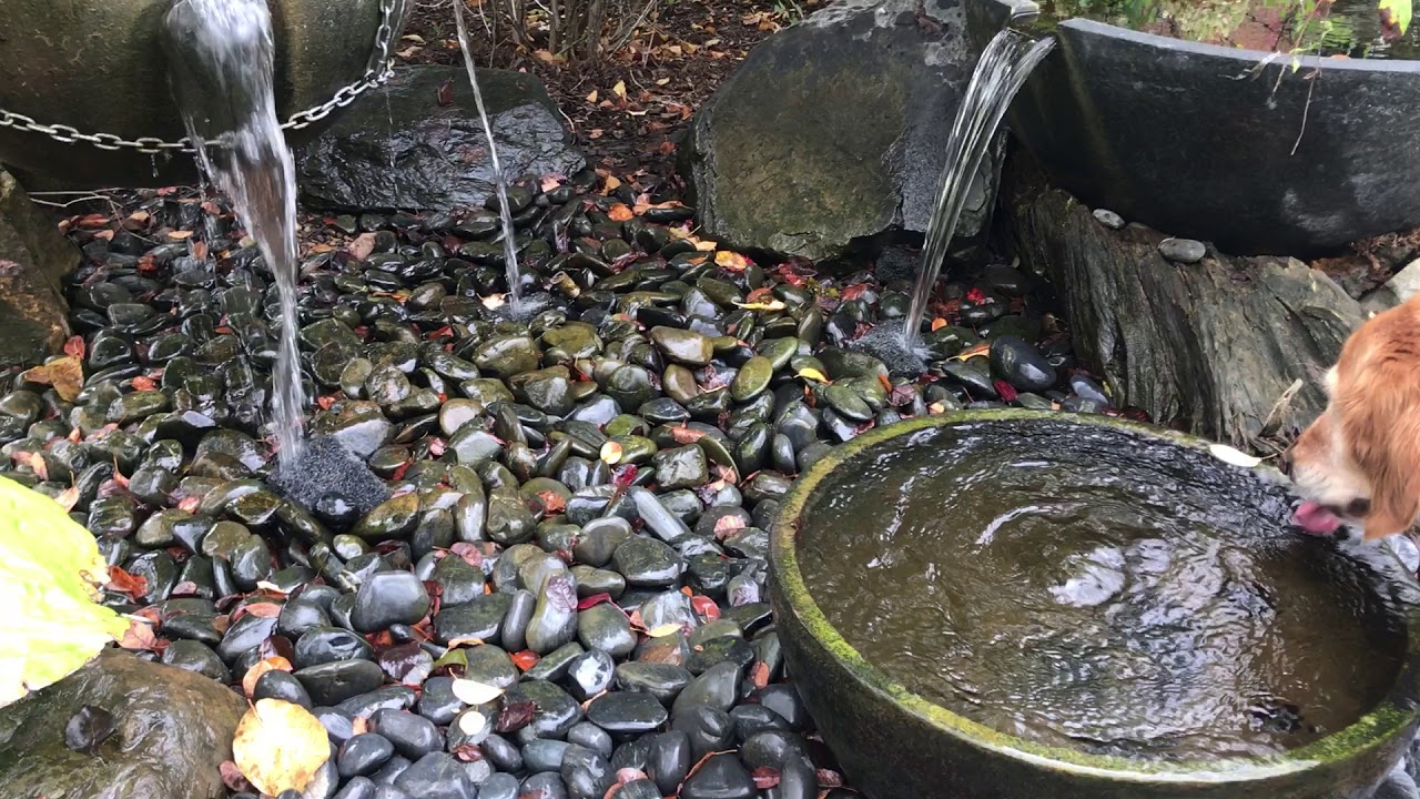 WATER FEATURES IN THE FALL SEASON - YouTube