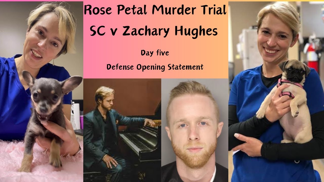 The Rose Petal Murder Case: SC v Zachary Hughes - YouTube