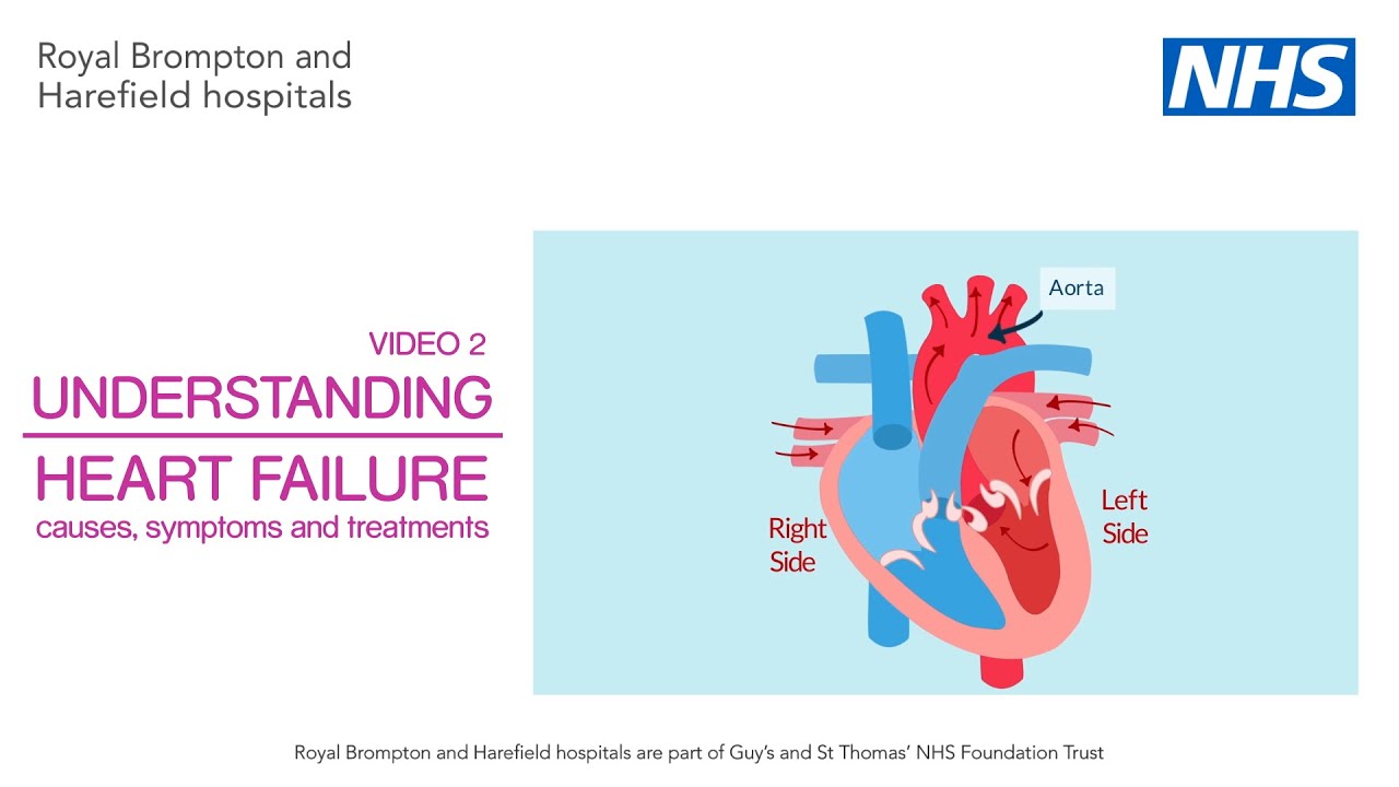 Video 2 | Understanding heart failure - YouTube