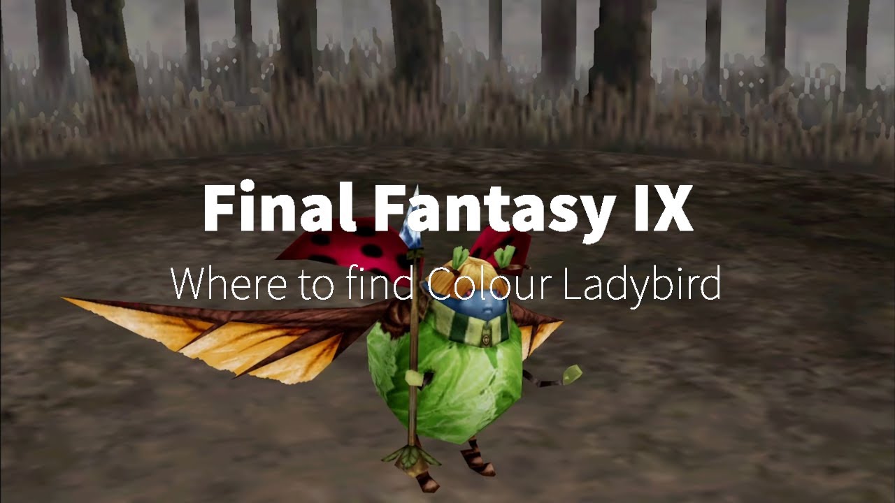 Where to find Colour Ladybird Final Fantasy IX (Mr Nice Guy Achievement ...