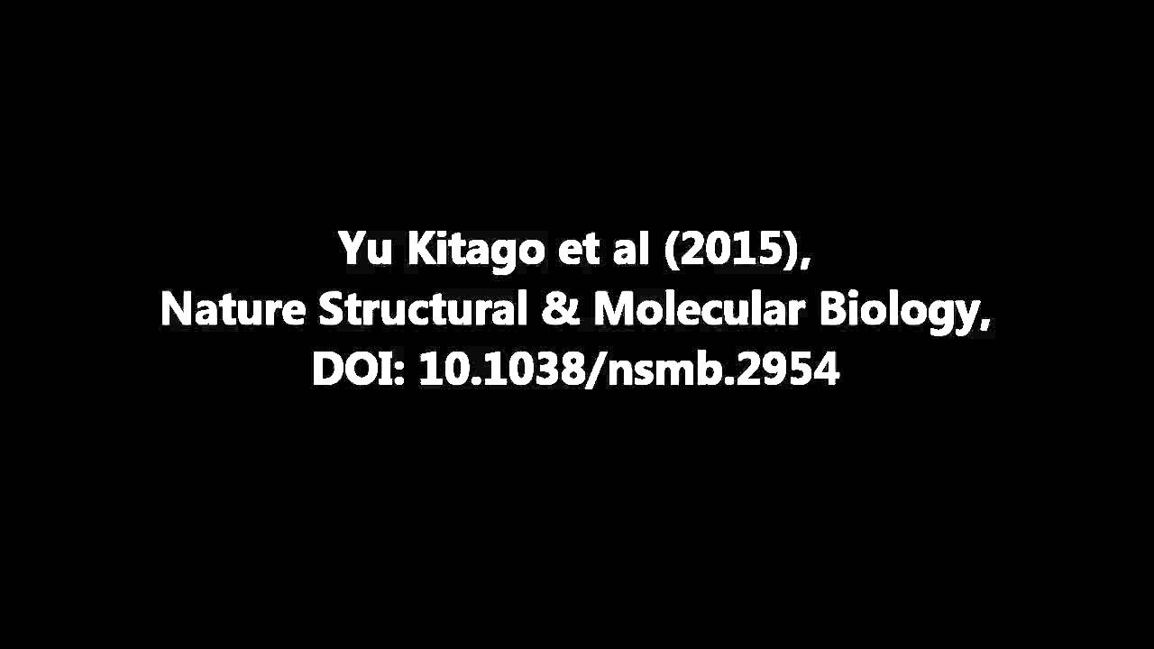 Nature Structural & Molecular Biology : Structural basis for ...