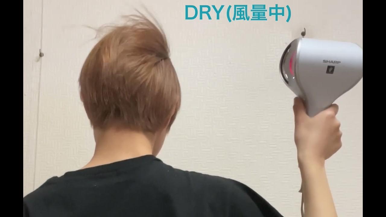 プラズマクラスタードレープフロードライヤー IB-WX3 風量の違い - YouTube