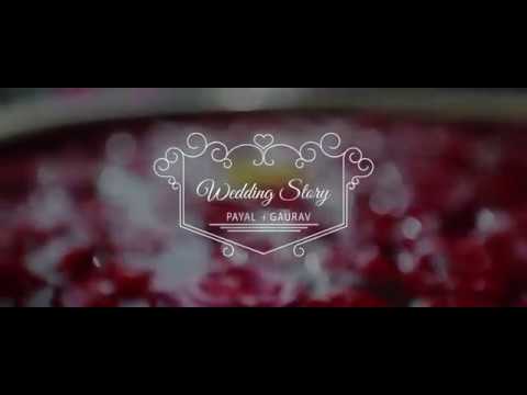 Payal & Gaurav - Our North + South indian fusion wedding
