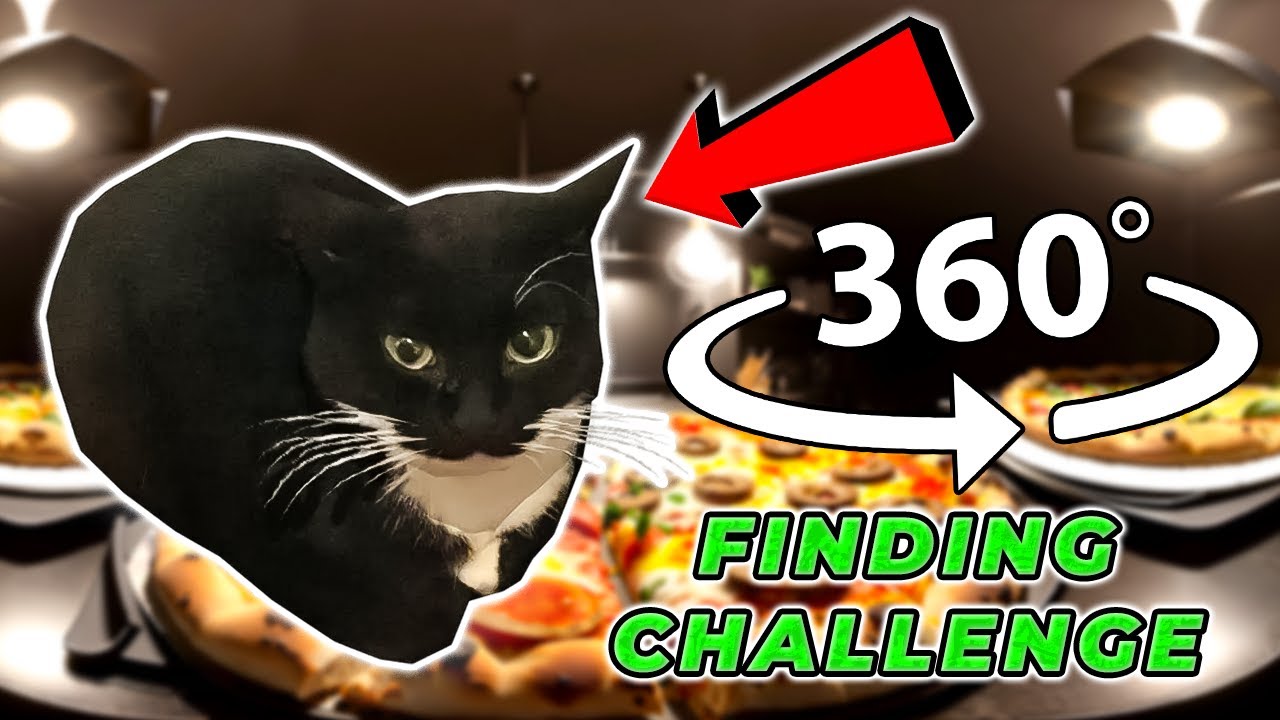 Maxwell The Cat 360° - FIND MAXWELL CAT | VR/360 Video 4K 🔍 😹 - YouTube