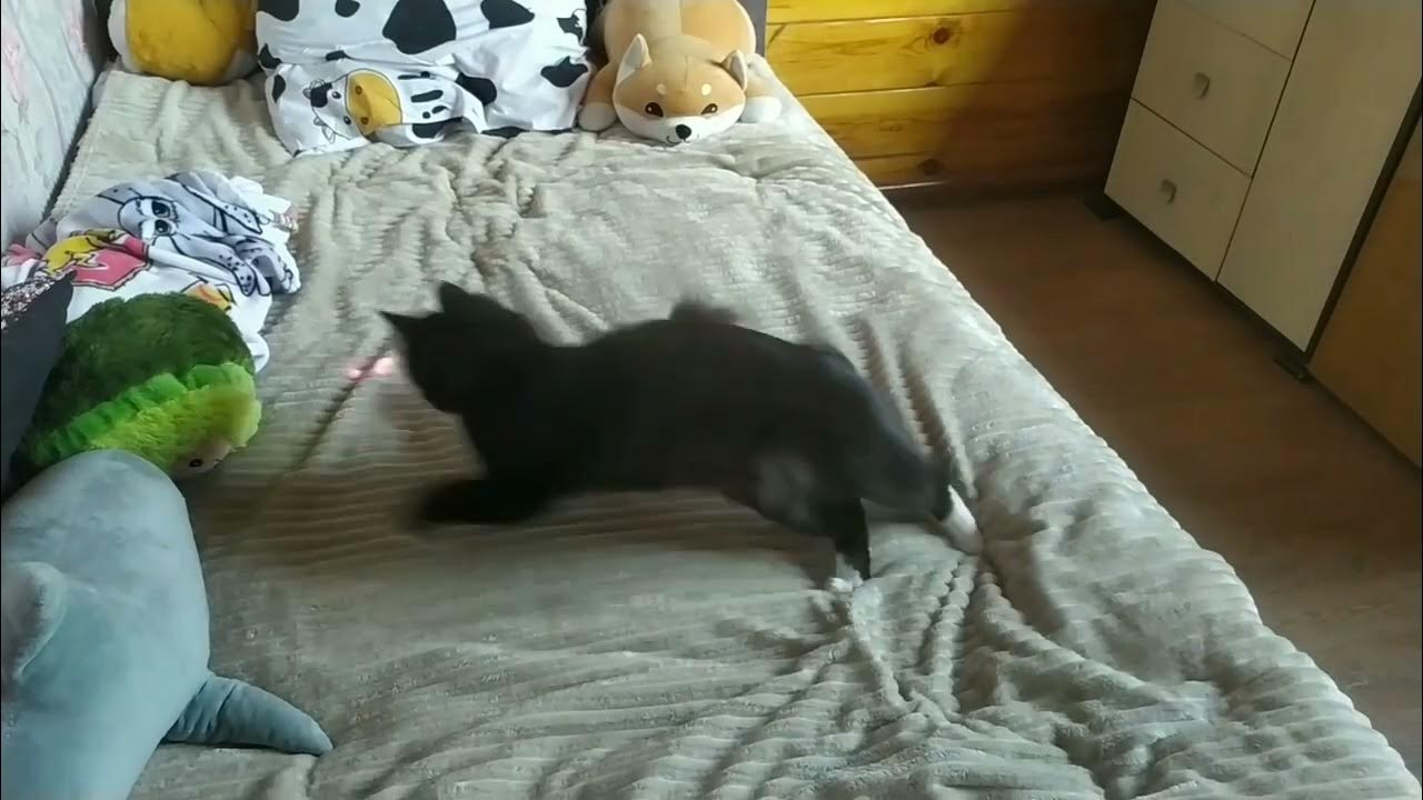 Mission: Catch the Red Dot - YouTube