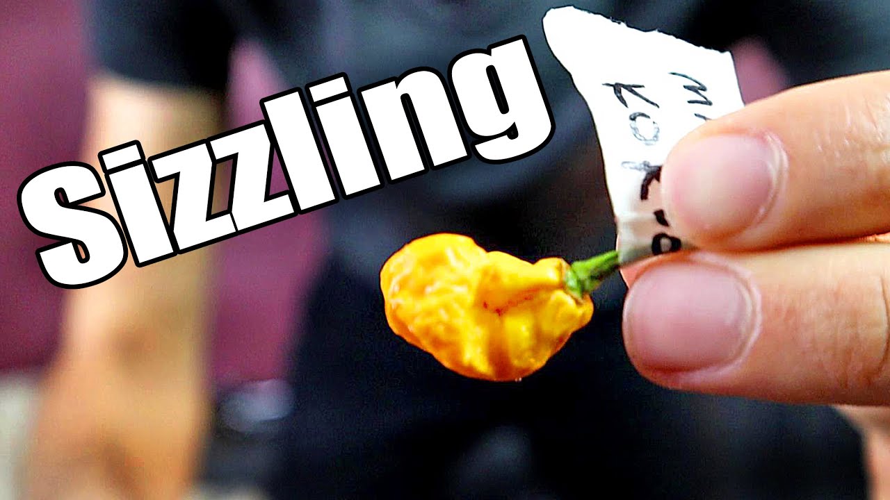 WILTY BUT DANGEROUS : Comparing Rare Chili Peppers (Mako Koko, Krishna ...