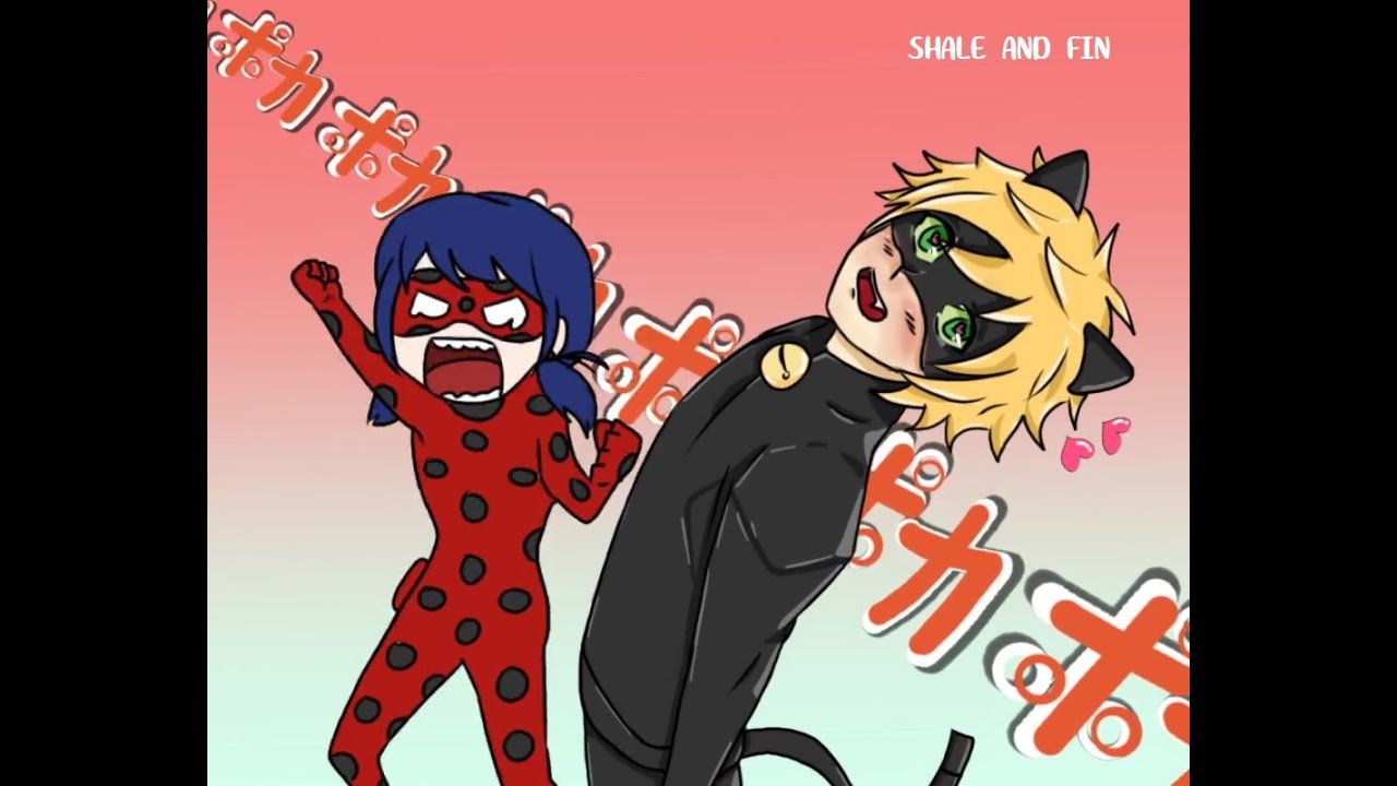 Ladybug vs. Cat Noir - [Miraculous ladybug animation] - YouTube