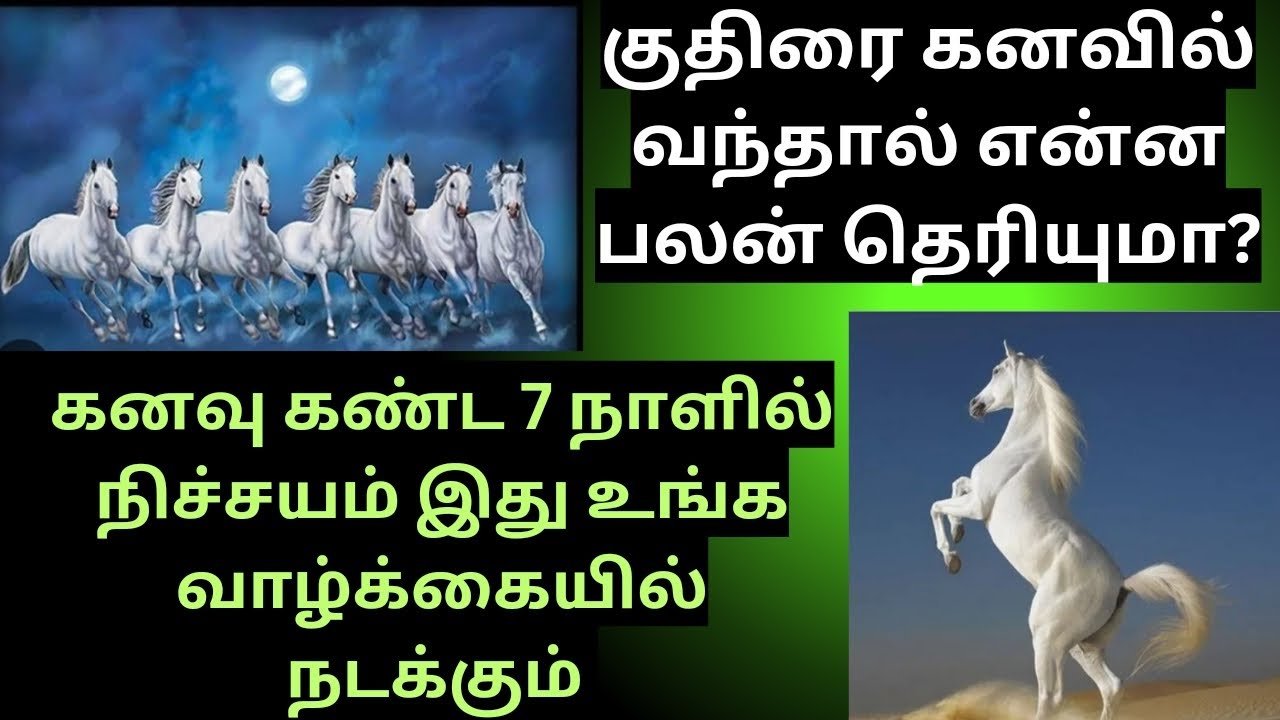குதிரை கனவில் வந்தால் என்ன பலன் | Horse Dream Meaning in Tamil/வெள்ளை ...