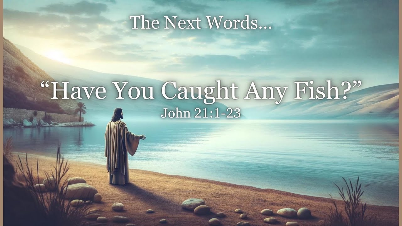 Have You Caught Any Fish? - YouTube