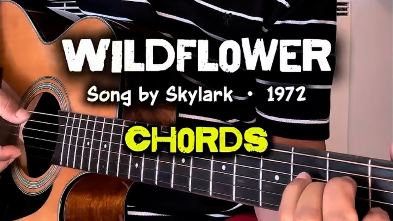 Wildflower Chords by Skylark - YouTube