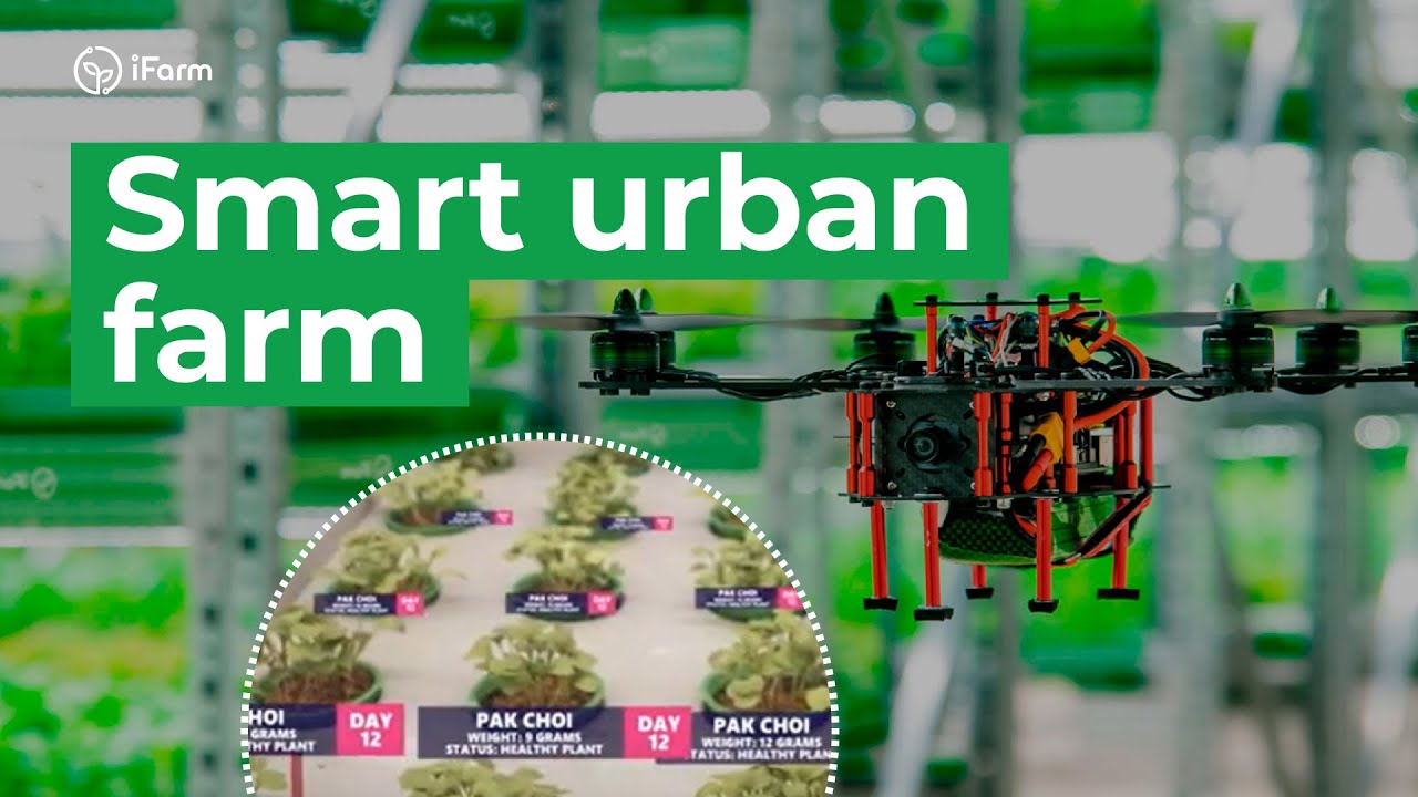 Drone testing on iFarm vertical farm - YouTube