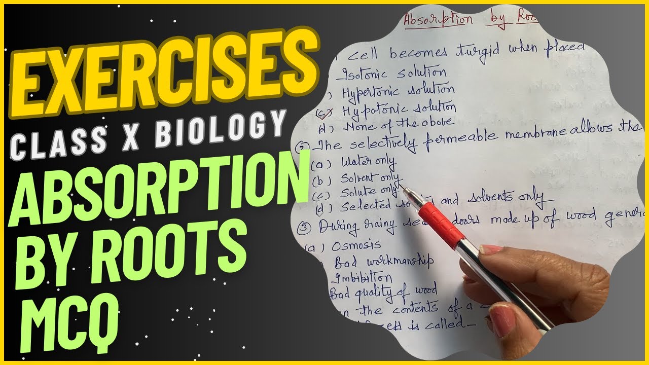 Exercises: MCQ - Absorption by roots || Biology || ICSE || Class X ...