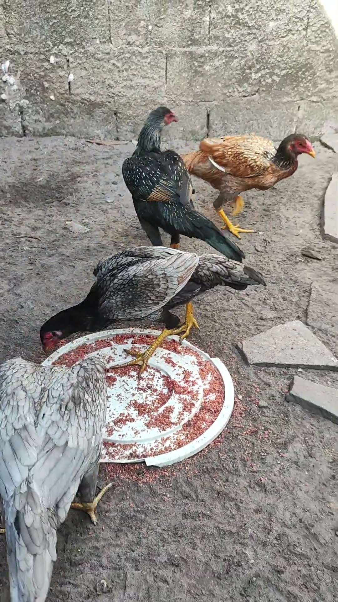 28 de junho de 2024 - YouTube