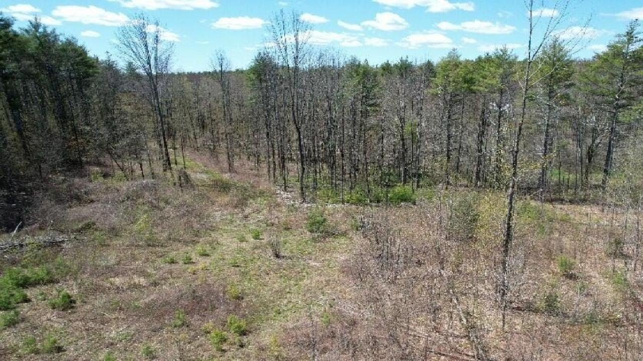 157 Shaws Mill Road, Standish, ME Presented by McFarland & Haskell. - YouTube