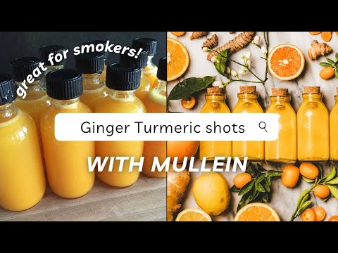 ginger turmeric shots with mullein & cayenne pepper! so healing! easy immune boost shot recipe 🧡 ...