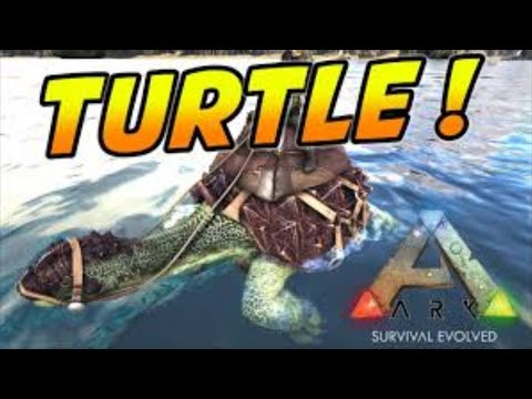 ARK SURVIVAL Episode 4 " FORMING AN ALLIANCE and HUNTING TURTLES ...