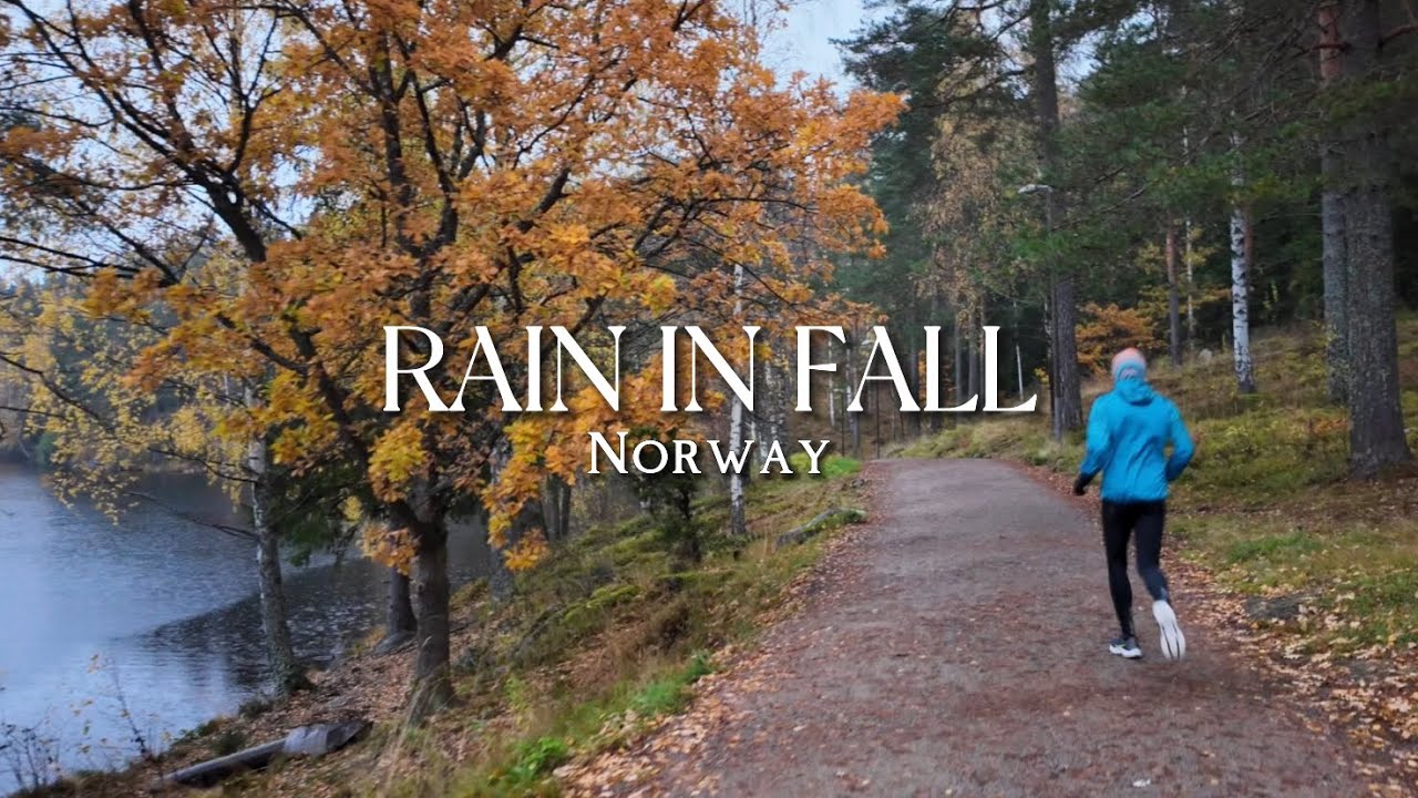 🇳🇴 The Tranquility of Walking in the Rain | Tour Around Oslo’s Most ...