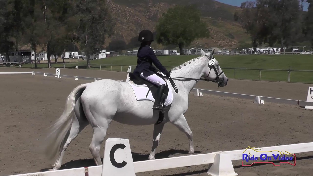 174D Maeve Callahan on Lady Viking Intro Dressage Galway Downs May 2017 ...