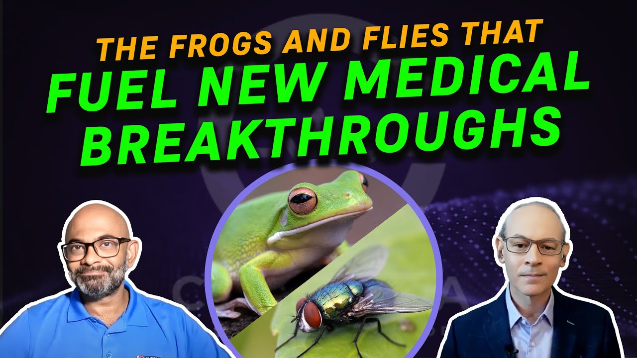 Maggots, Bullfrogs & “Smart Bandages” 🐛 Cuprina Holdings' Age-old ...