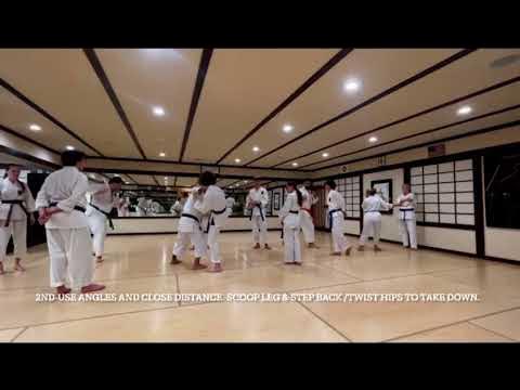 Bunkai(Practical) application from Shisochin Kata from Goju Ryu Karate. - YouTube