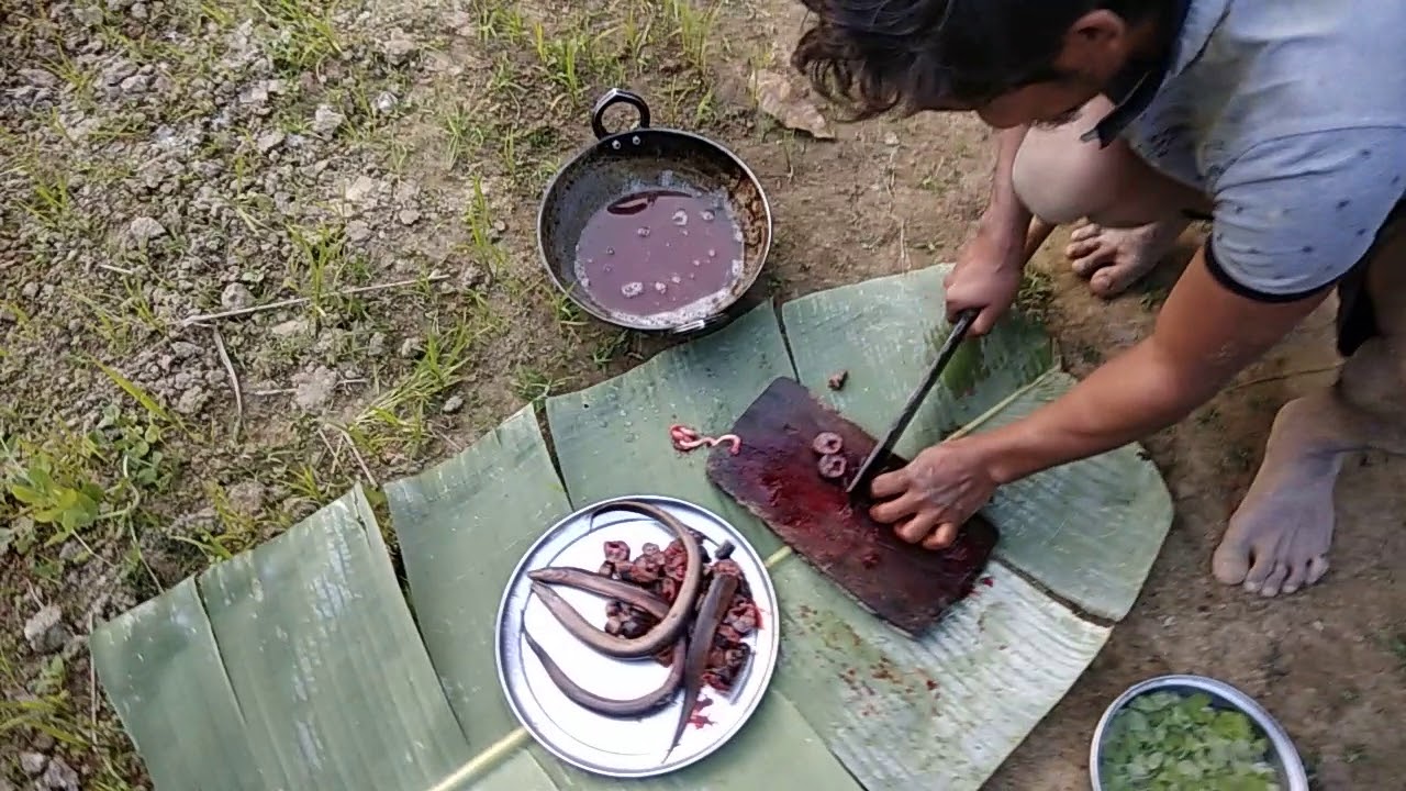 Snake meat - YouTube