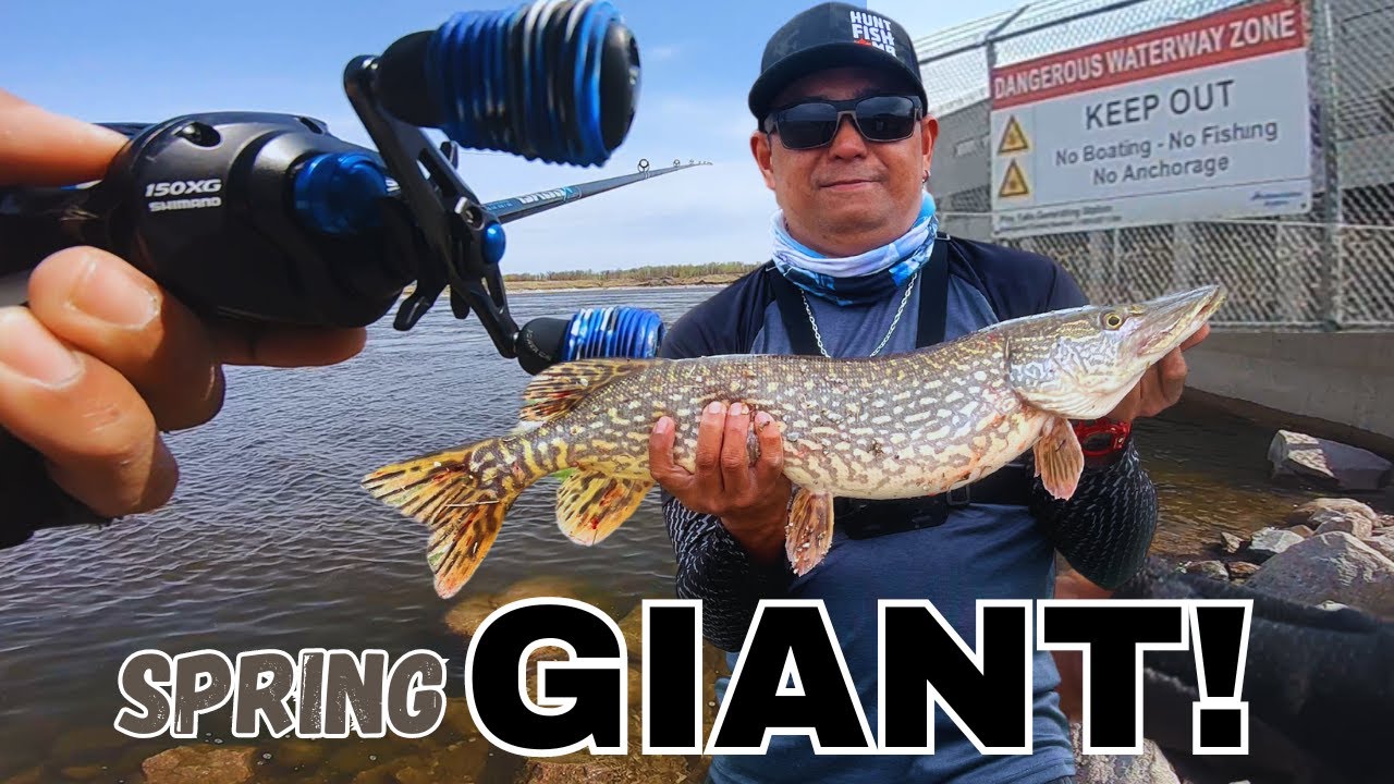I caught a Spring GIANT!!!😎 | Chest-Camera Footage - YouTube