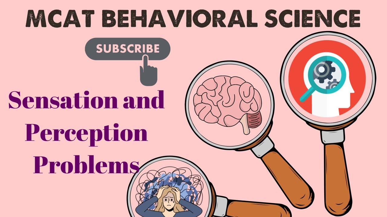 MCAT Behavioral Science: Chapter 2 - Sensation and Perception Problems - YouTube