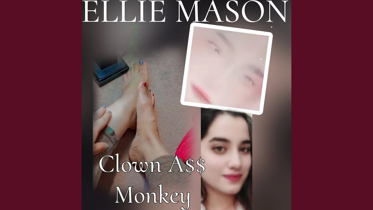 Clown Ass Monkey - YouTube