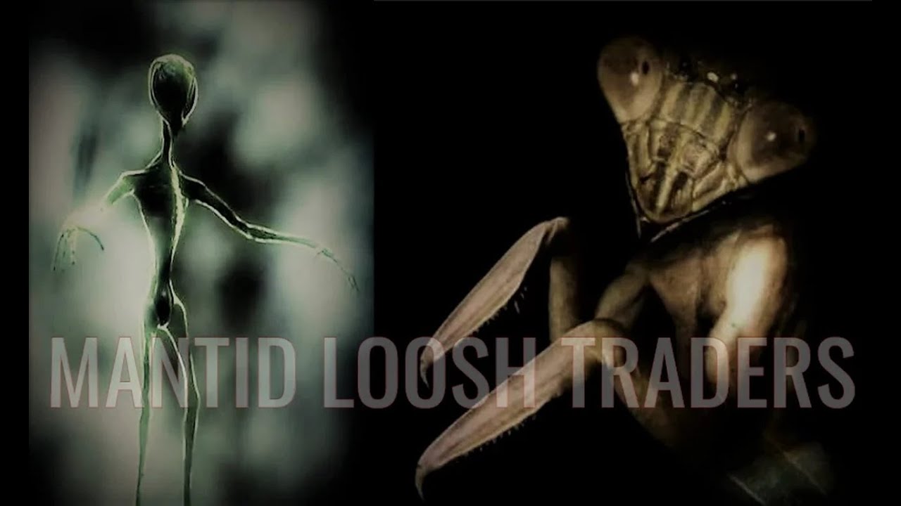 Praying Mantis Aliens: Galactic Loosh-Meisters and Insectoid Overseers ...