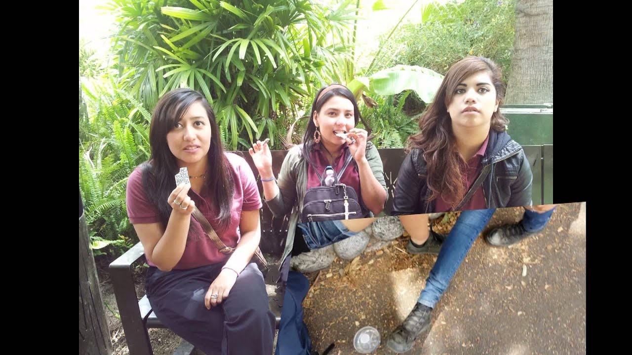 SIATECH FRIENDSHIP - YouTube